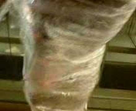 The birth of the alien.. - YouTube