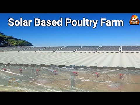 Amazing Solar Panel System in Poultry Farm #poultrygyan - YouTube