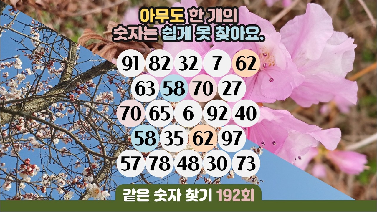 같은숫자찾기 192회 아무도 한 개의 숫자는 쉽게 못 찾아요 같은숫자찾기 퀴즈 치매예방퀴즈 숫자퀴즈 두뇌운동