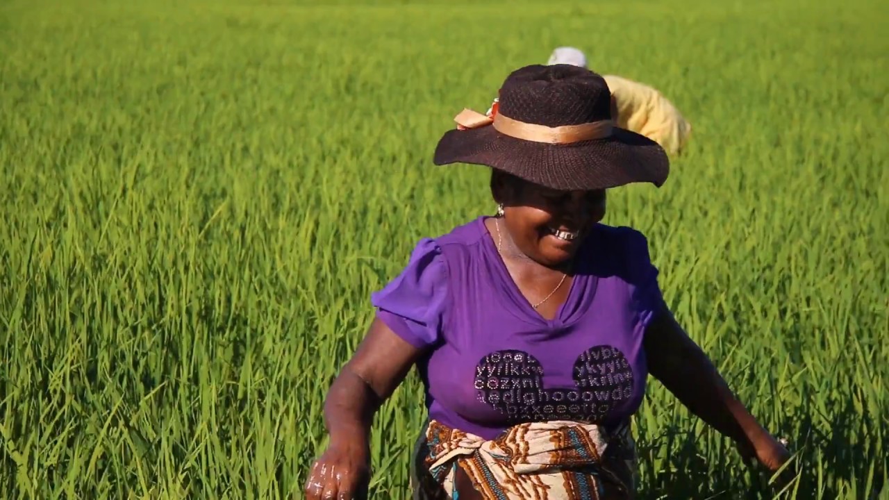 Interview #1 - Bénéficiaire Bas Mangoky - YouTube