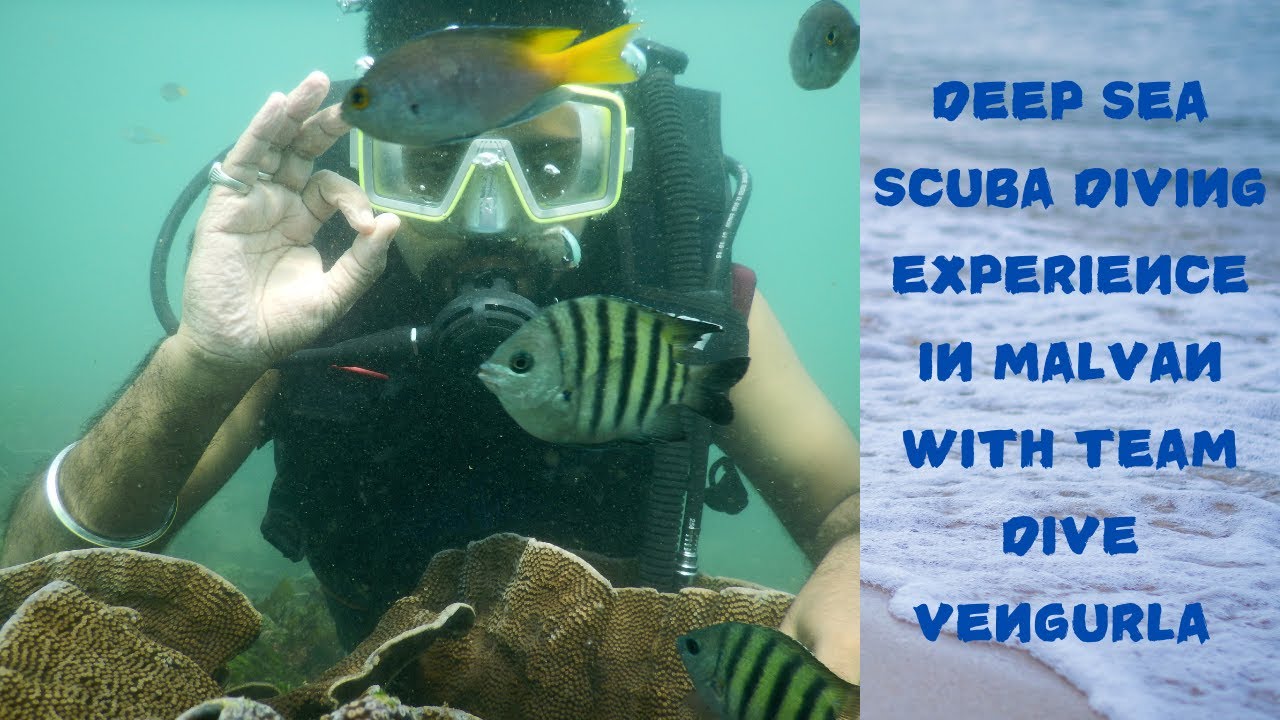 Best Deep Sea Scuba Diving In Malvan With Dive Vengurla Team #kokan # ...