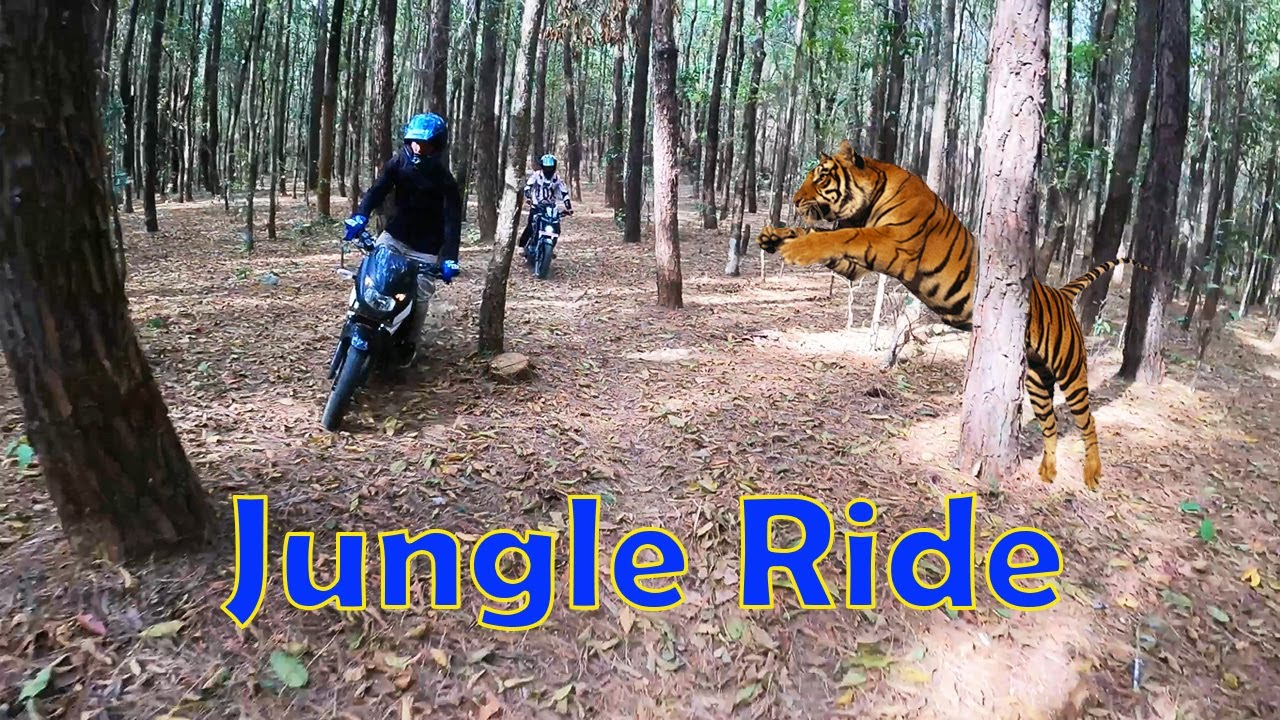 Nepane Ko Bun - Pleasant Ride Ever || gravity vlogs - YouTube