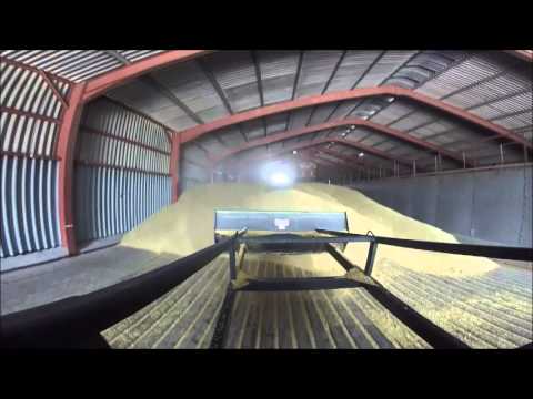 Maddever farms - YouTube