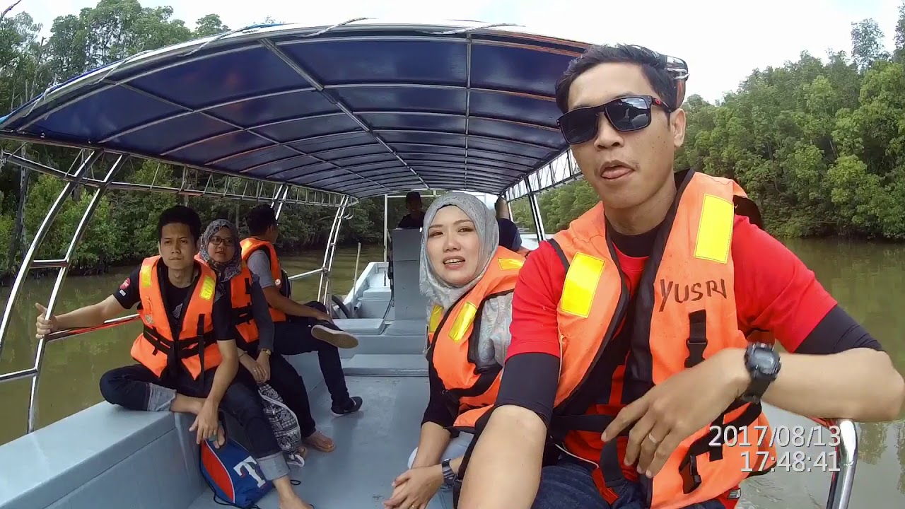 Hutan paya laut matang, helang dan fish farm - YouTube