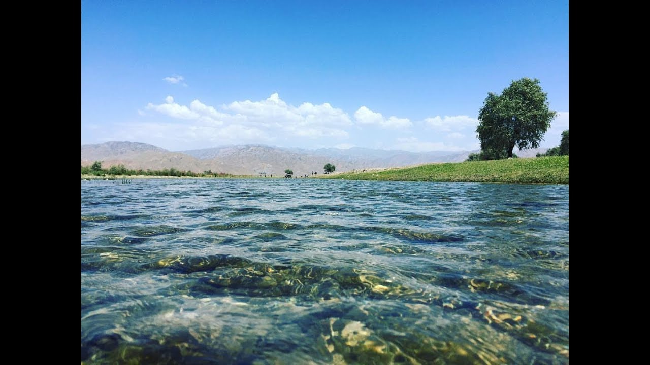 One Old man below this tree in the village of Farkhar district is ...