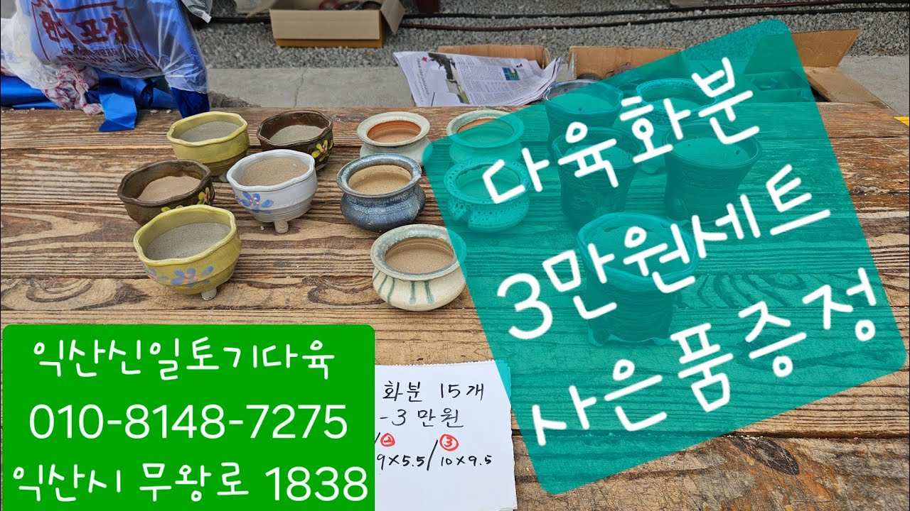 (익산신일토기다육)#다육화분#3만원세트♡사은품 증정#010-8148-7275 - YouTube