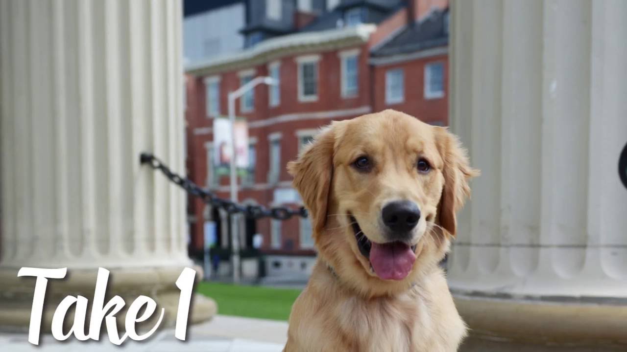 Outtakes from the Furry Disciples cover photo shoot for the Catholic ...