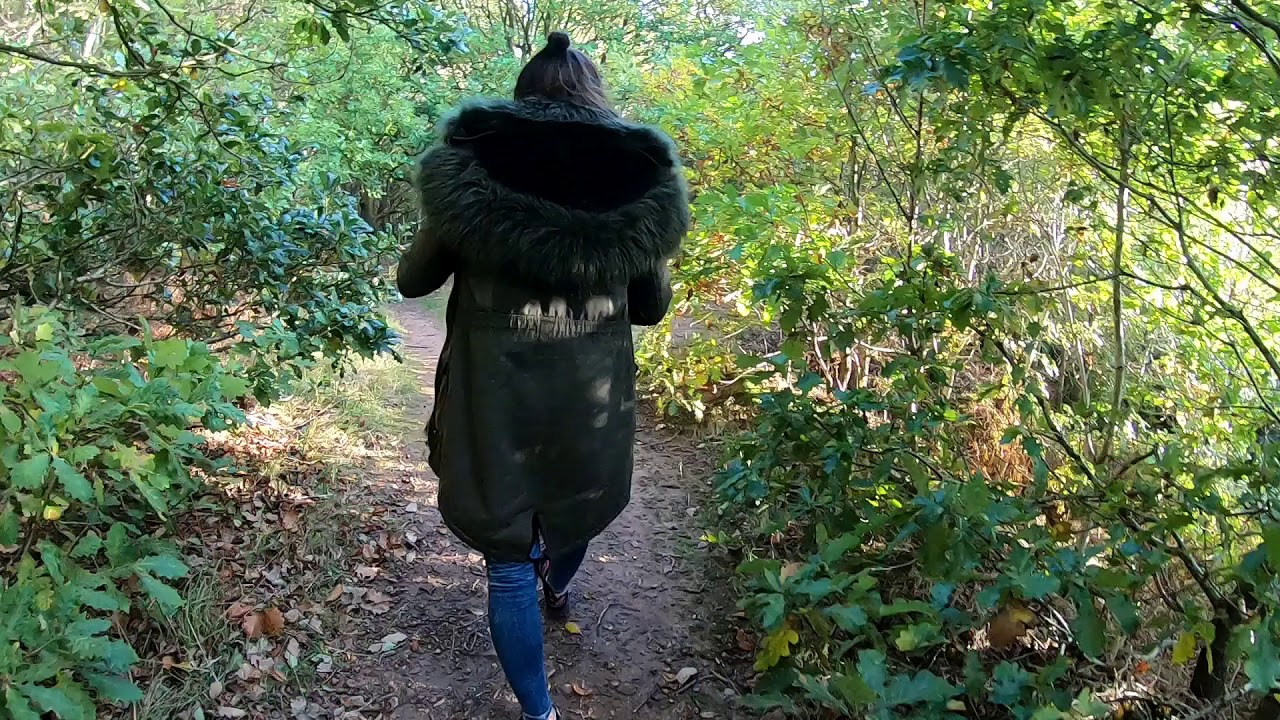 Daily walk in the Canklow Woods - YouTube