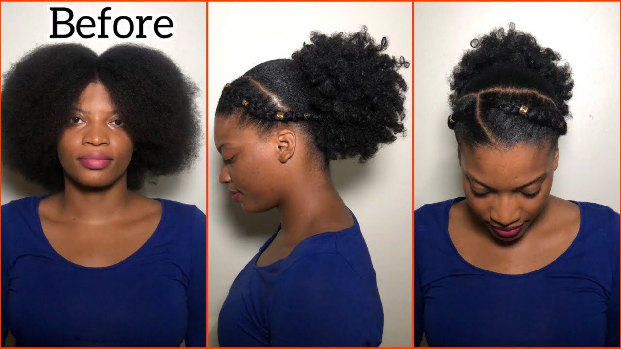 SIDE Part with two-braids & Low Puff | Natural Protective Hairstyle ...