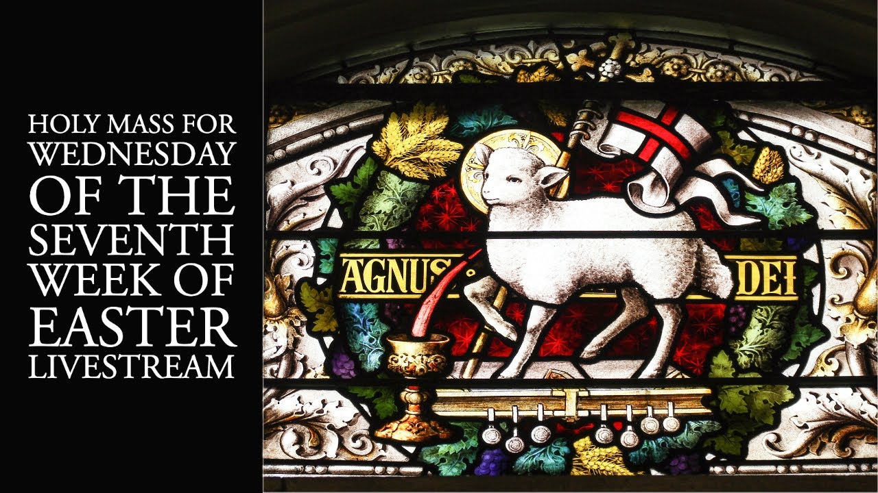 Holy Mass for Wednesday of the Seventh Week of Easter - YouTube