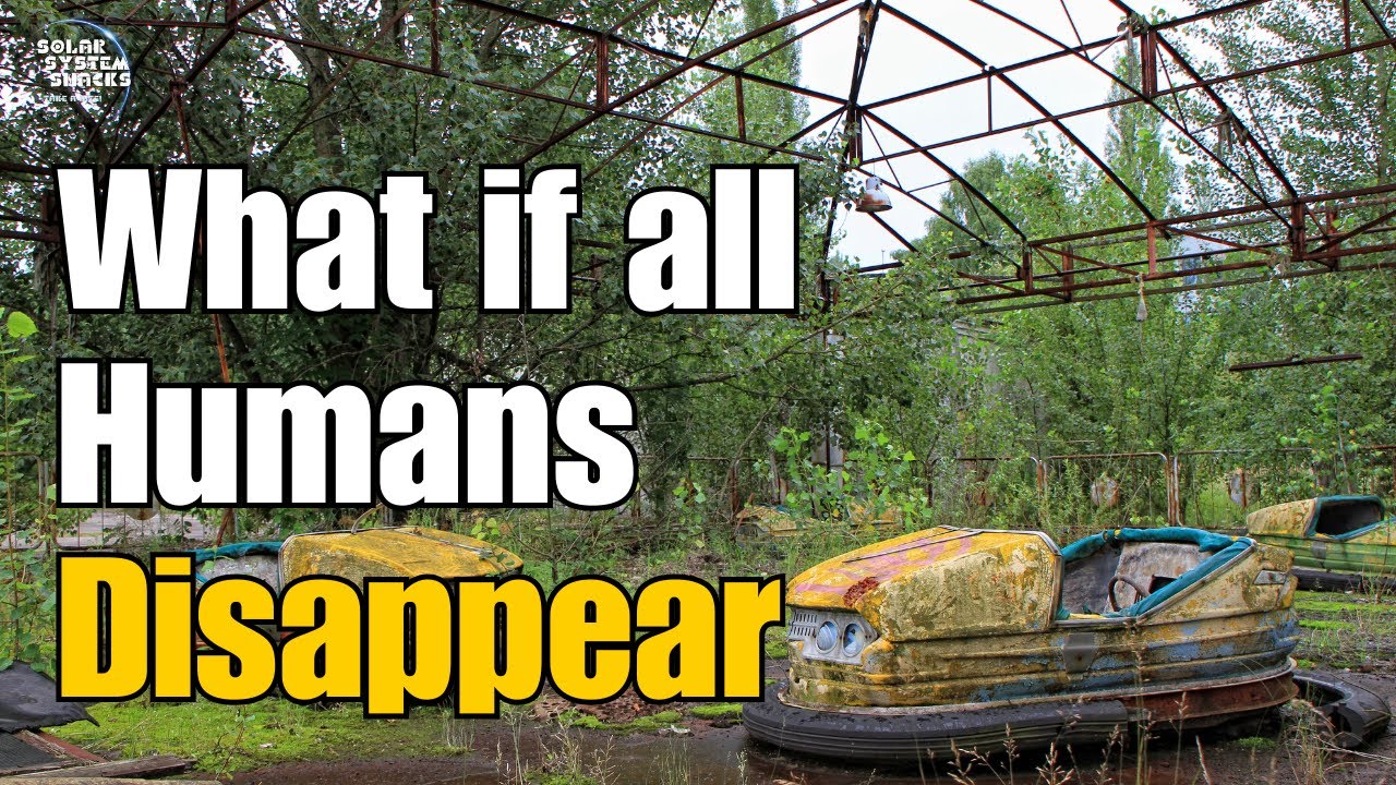 What Happens To Earth When Humans Disappear? - YouTube