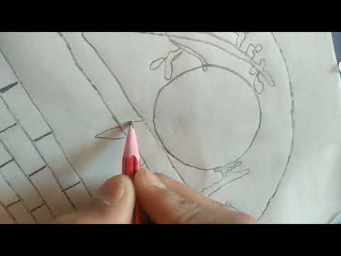 EASY DRAWING PICTURE ||PAROT DRAWING ||DRAWING SIMPEL AND EASSY ||ART ...