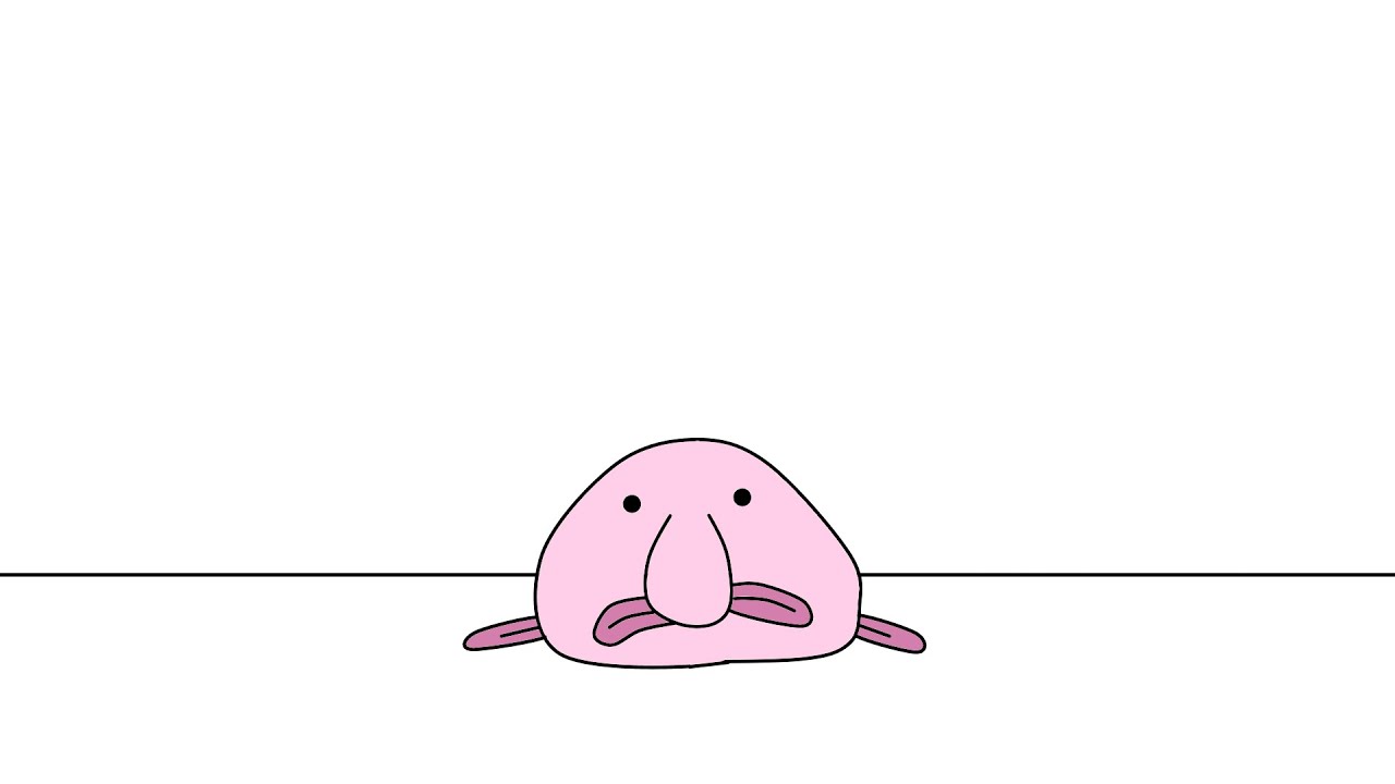 Cha Cha Real Smooth (Blobfish Animation) - YouTube