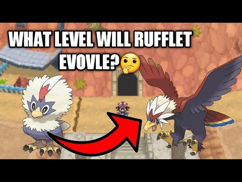 How to Evolve Rufflet to Braviary on Pokemon Black / White / Black 2 ...