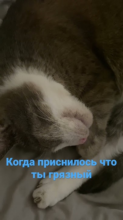 Когда приснилось что ты грязный - YouTube