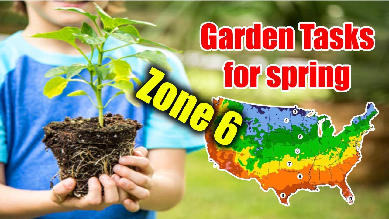 Your Zone 6 Garden this Spring | Garden Tasks for Spring in Zone 6 ...