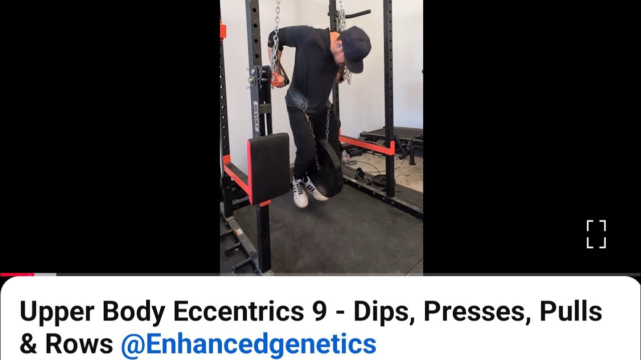 Q& Critiquing Alberto's Eccentric Exercises! Dips, Presses, Pulls & Rows@datrejo12 - YouTube