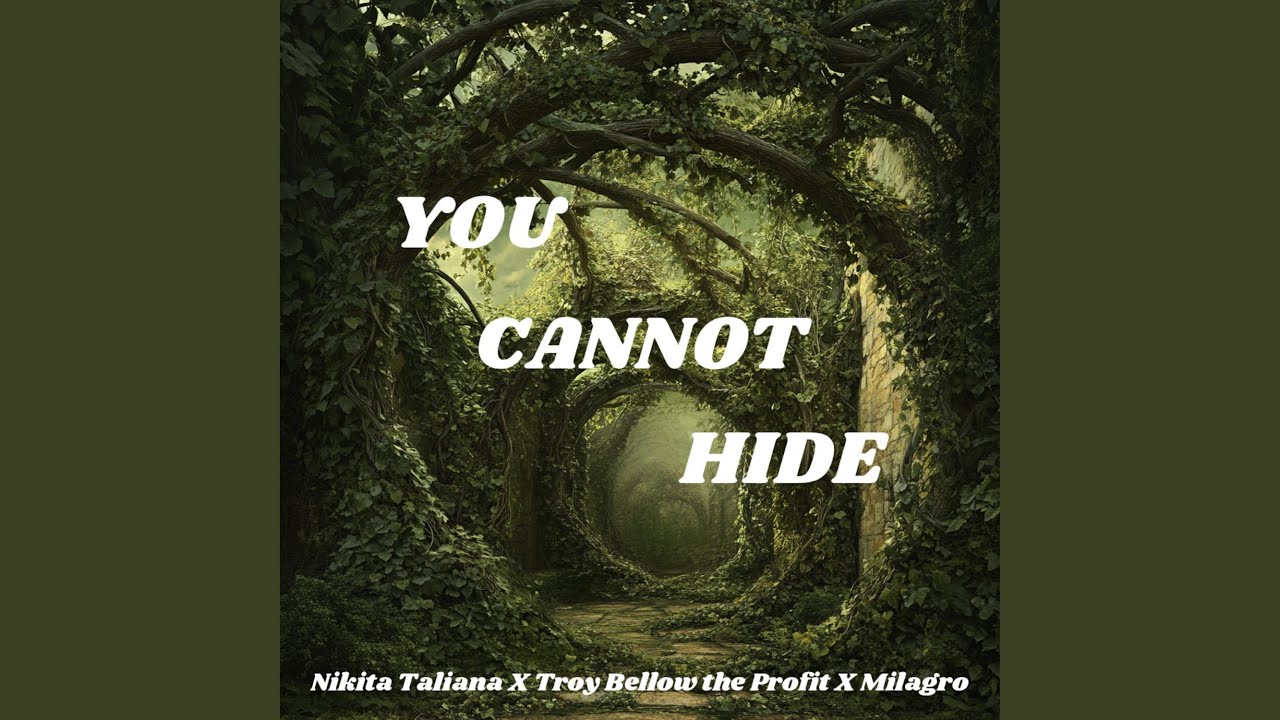 You Cannot Hide (feat. Troy Bellow the Profit & Milagro) - YouTube
