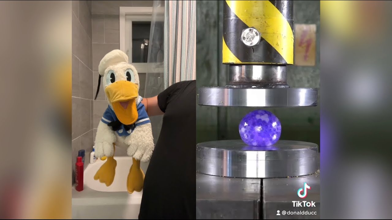 Donald Ducc TikToks That Will Make You LAUGH On The FLOOR! (DONT LAUGH ...