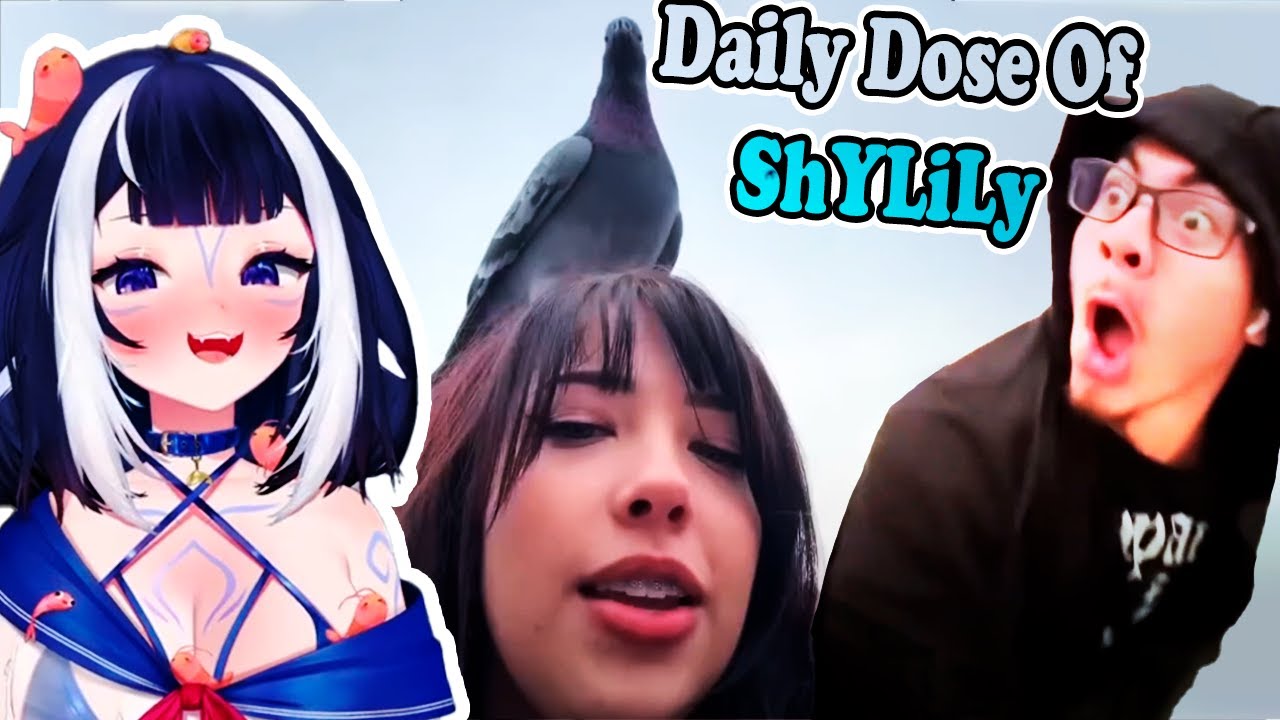 Shylily Laughs At Daily Dose Of Internet & UNUSUAL MEMES COMPILATION ...