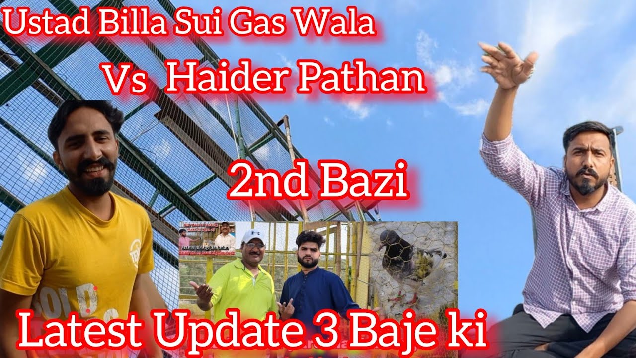 bazi ki latest update haider pathan || ustad billa pigeon club ...