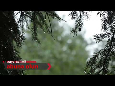 Yağış səsi dinlənmk üçün. Yağmur sesi uyumak için. Rain sound for sleeping.
