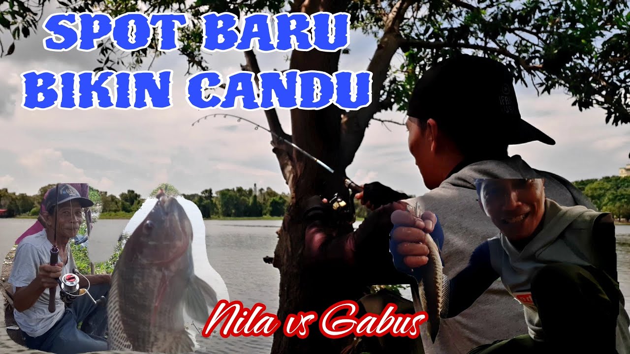 SPOT BARU JARANG DI JAMAH PEMANCING !! sarangnya ikan nila dan gabus ...