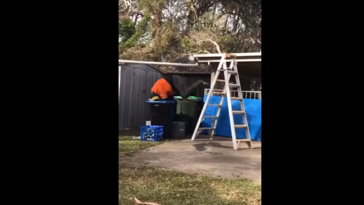 Guy Dives Into A Dumpster Off The Ladder - YouTube