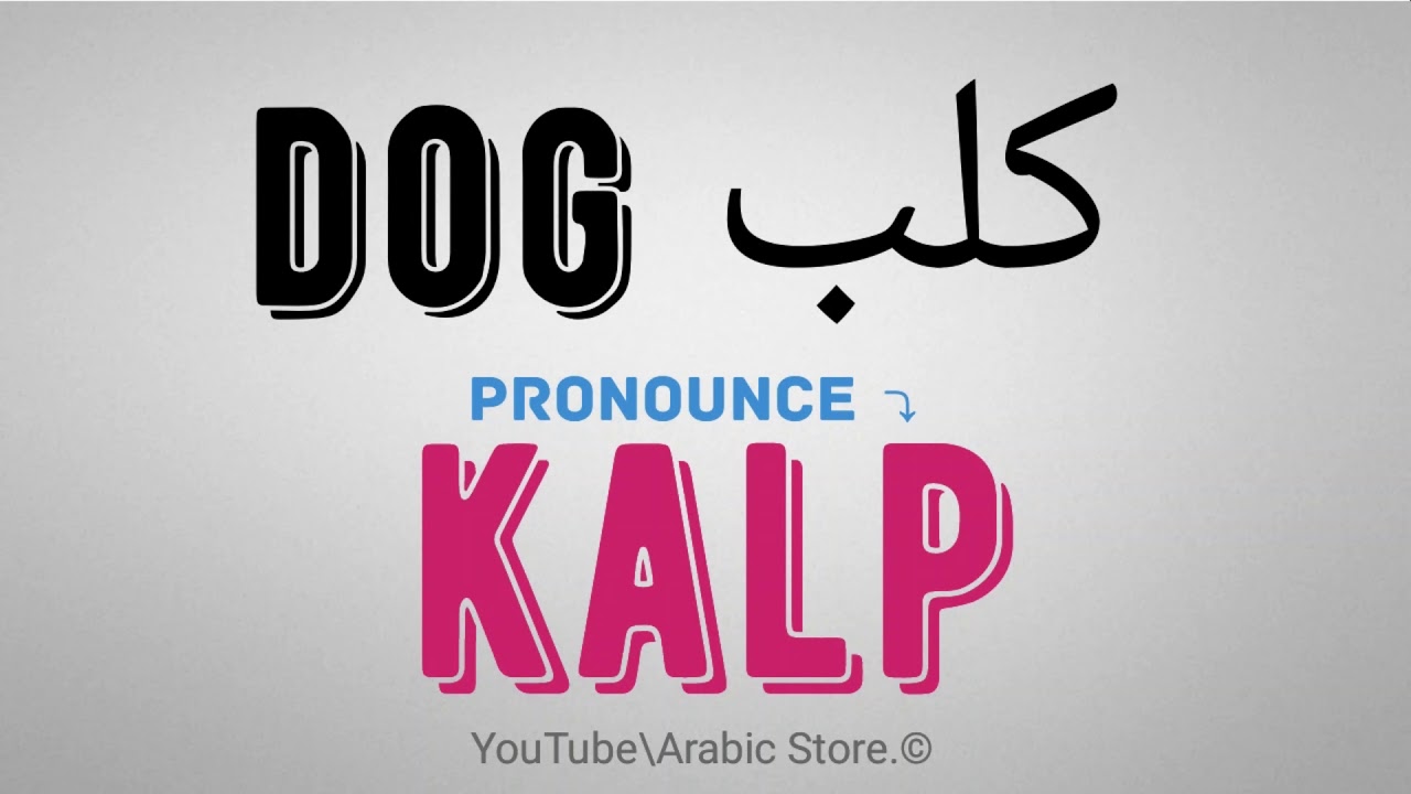 How To Say Dog In Arabic YouTube how-to-say-dog-in-arabic-youtube