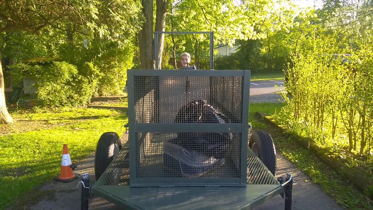 Bear 🐻 Cage √3√ - YouTube