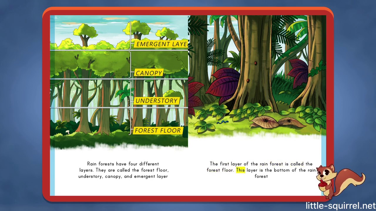 Layers of the Rainforest: Level G - Interactive Stories for Kids - YouTube