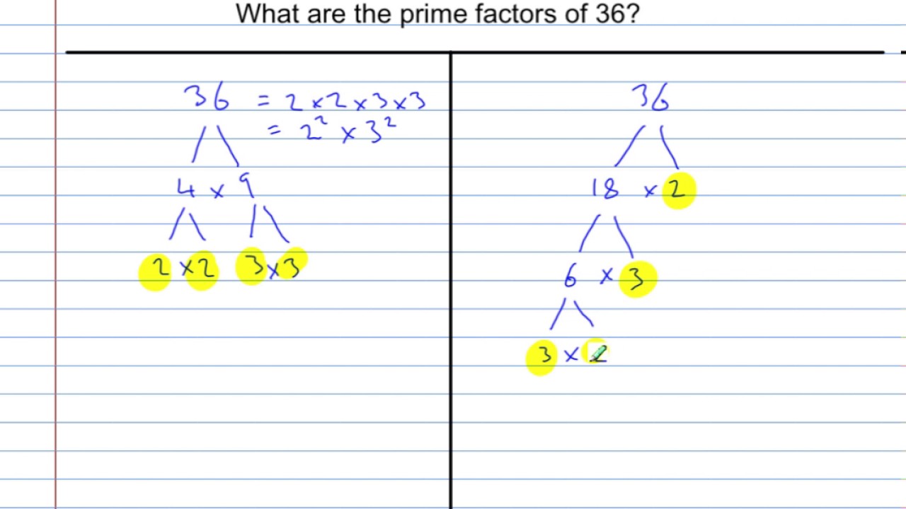 Prime Factors - Concept - YouTube