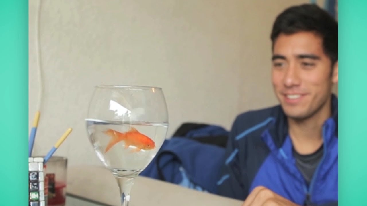 Making Real Goldfish - YouTube