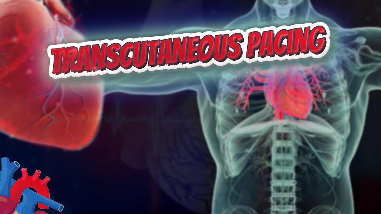 Transcutaneous pacing - Human Heart ️ and Cardiology ️🔊 - YouTube