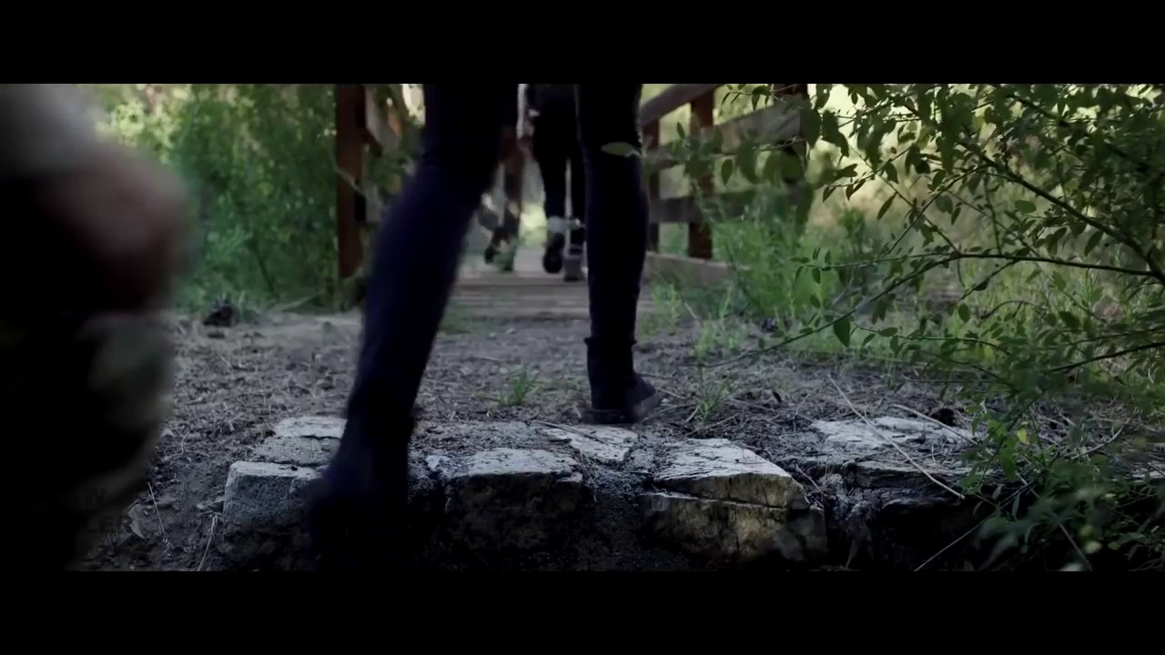 Feral TRAILER 2017 - YouTube