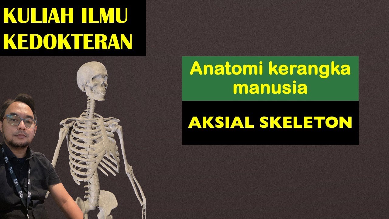 ANATOMI KERANGKA MANUSIA : Tulang Aksial (Anatomy of axial skeleton ...