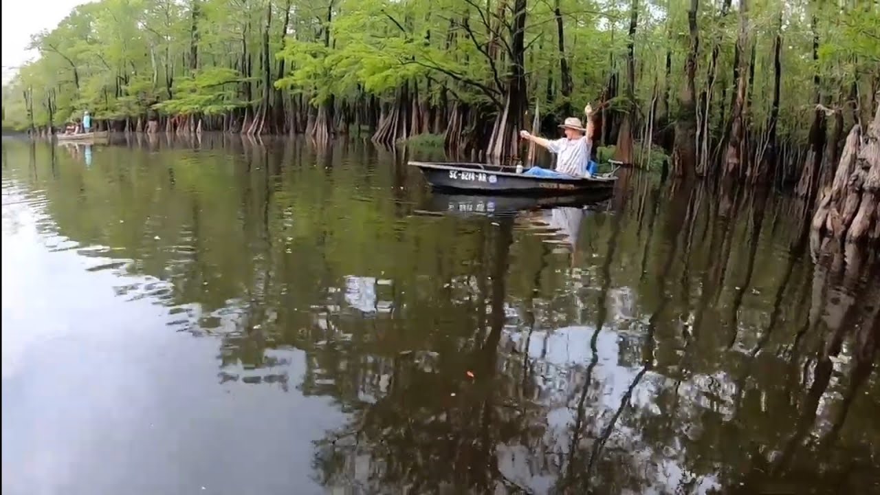 Fishing for Huge Bream On Little Pee Dee - YouTube