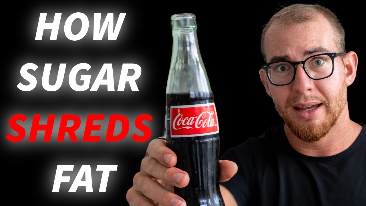 How the Sugar Diet Actually Burns Fat (Full Breakdown + My Results ...