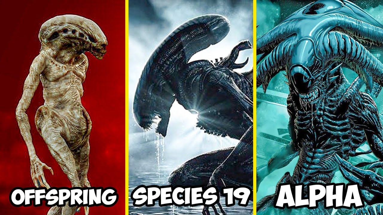The Top 20 MOST HORRIFIC Xenomorph Variants EXPLAINED - YouTube