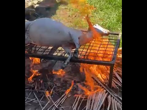 Barbecue ! Goat sets on fire for cutting and cooking. - YouTube
