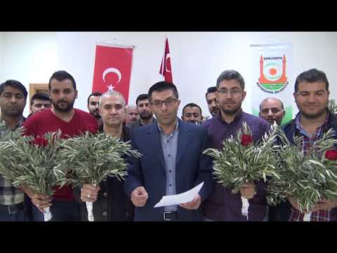 SEVGİLİYE EN GÜZEL HEDİYE ‘ZEYTİNDALI’ OLSUN