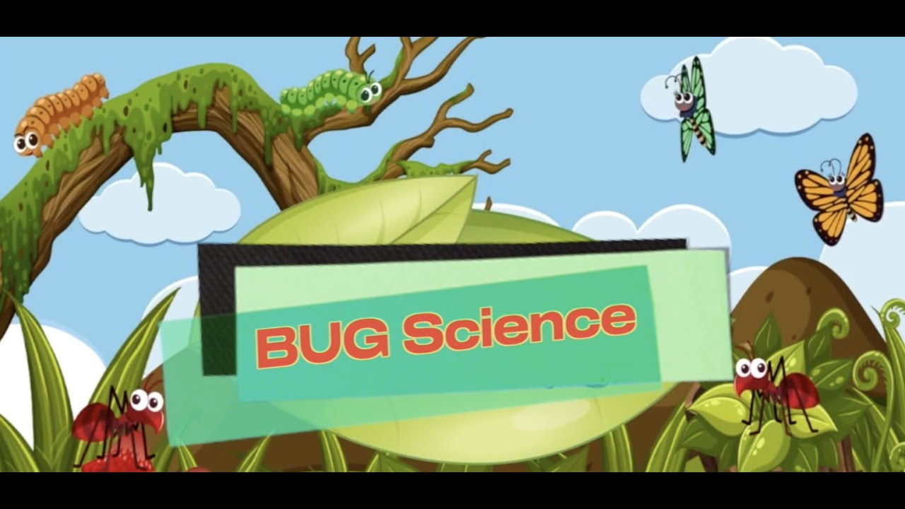 BUG SCIENCE - YouTube