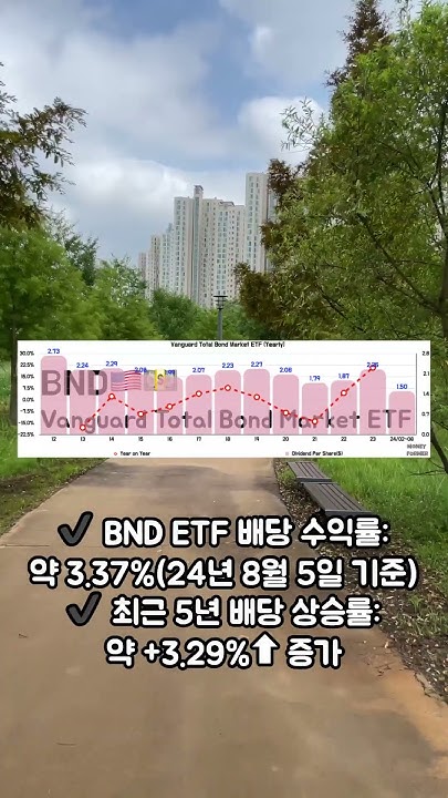 BND ETF 24년 8월 배당 업데이트 - YouTube