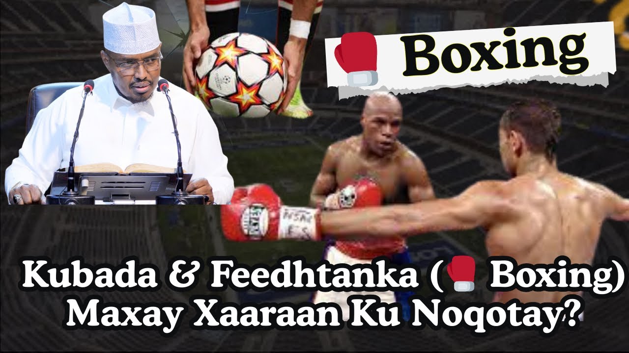 Kubada & Feedhtanka (🥊 Boxing) Maxay Xaaraan Ku Noqotay? Sh Xassaan Abu ...