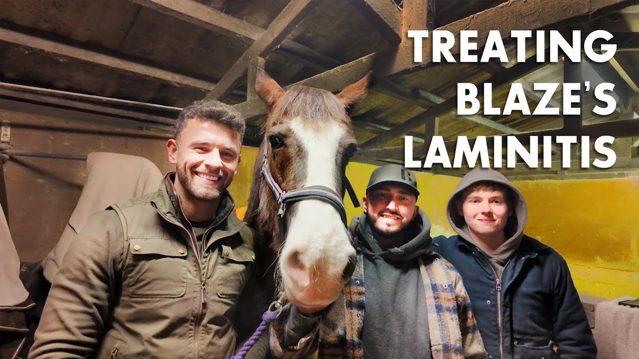 Treating Blaze's Laminitis - SW Farriers - YouTube