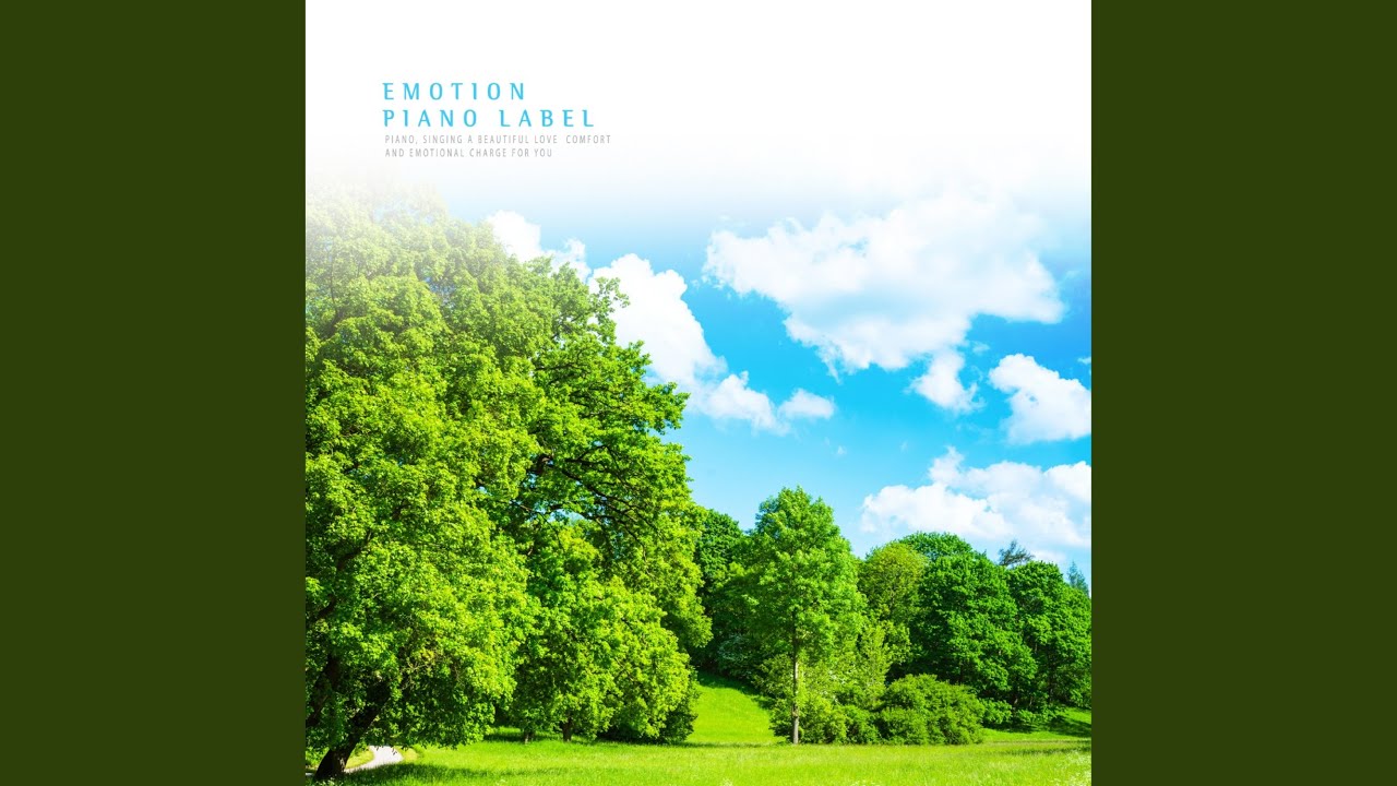 Song of the seabird - YouTube