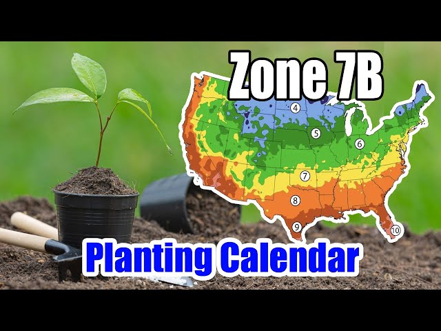 Fall Gardening Zone 7b | Fasci Garden