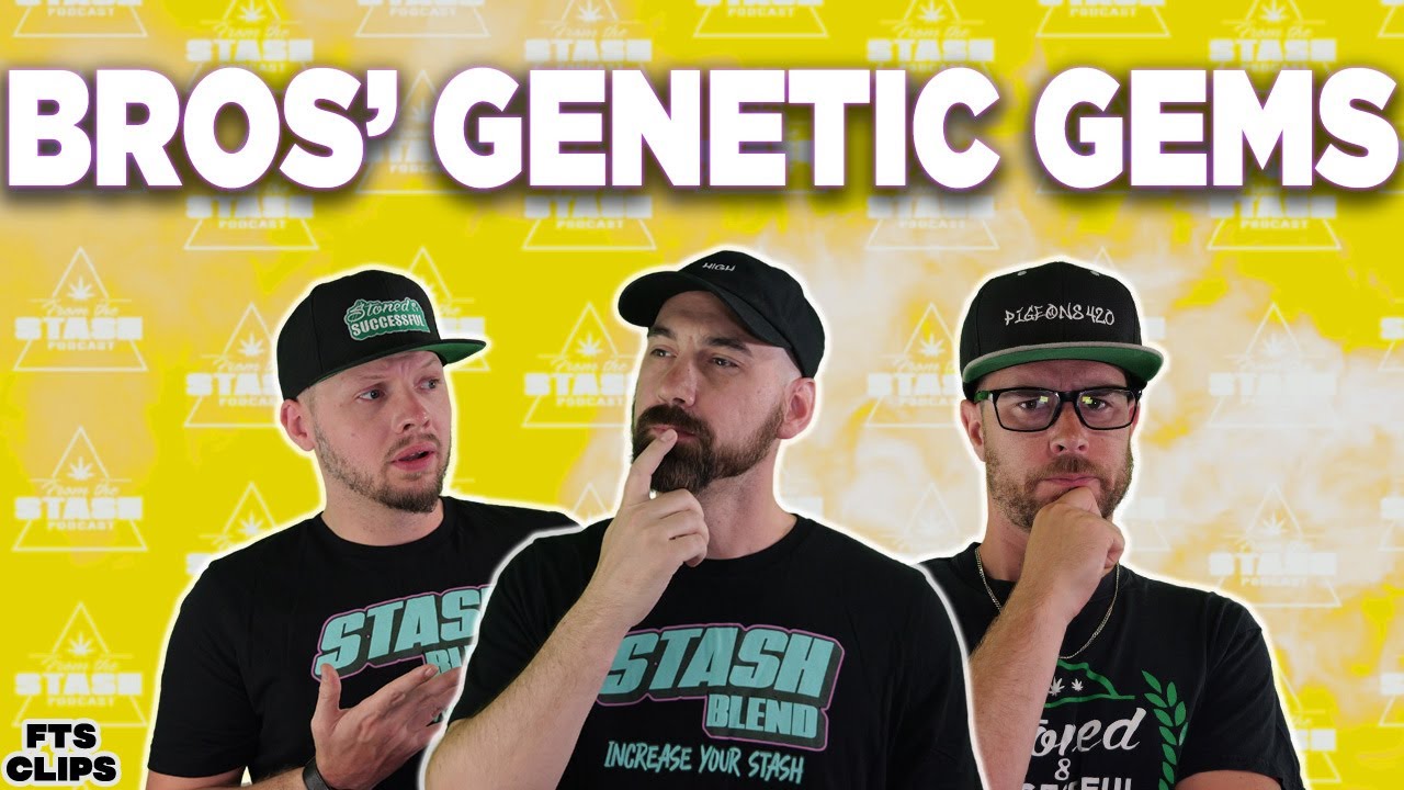 Top Genetics from the Bros: Our Favorites Part 2! | FTS Clips - YouTube