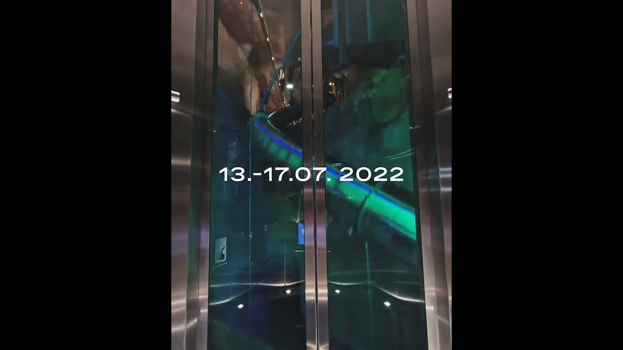 Elevate Trailer 2022 - YouTube