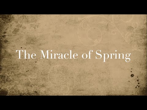 2022 Christmas Program The Miracle of Spring Play - YouTube